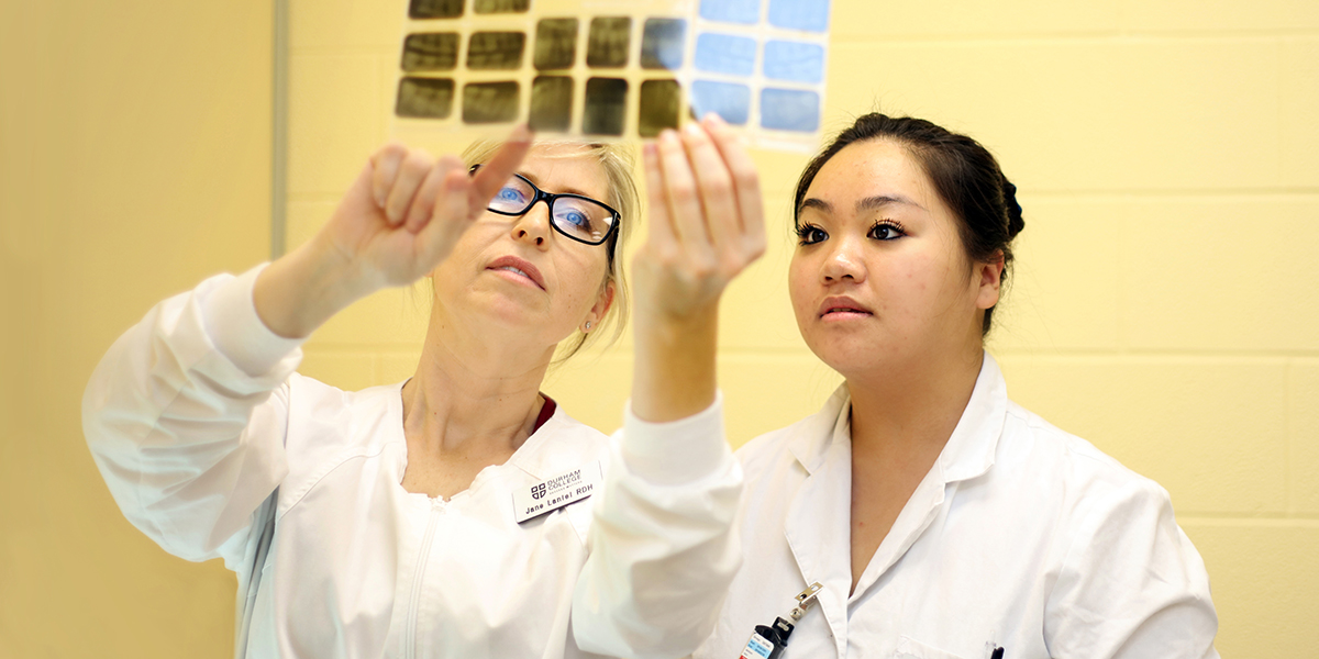 Faculty of Health Sciences | MyDC