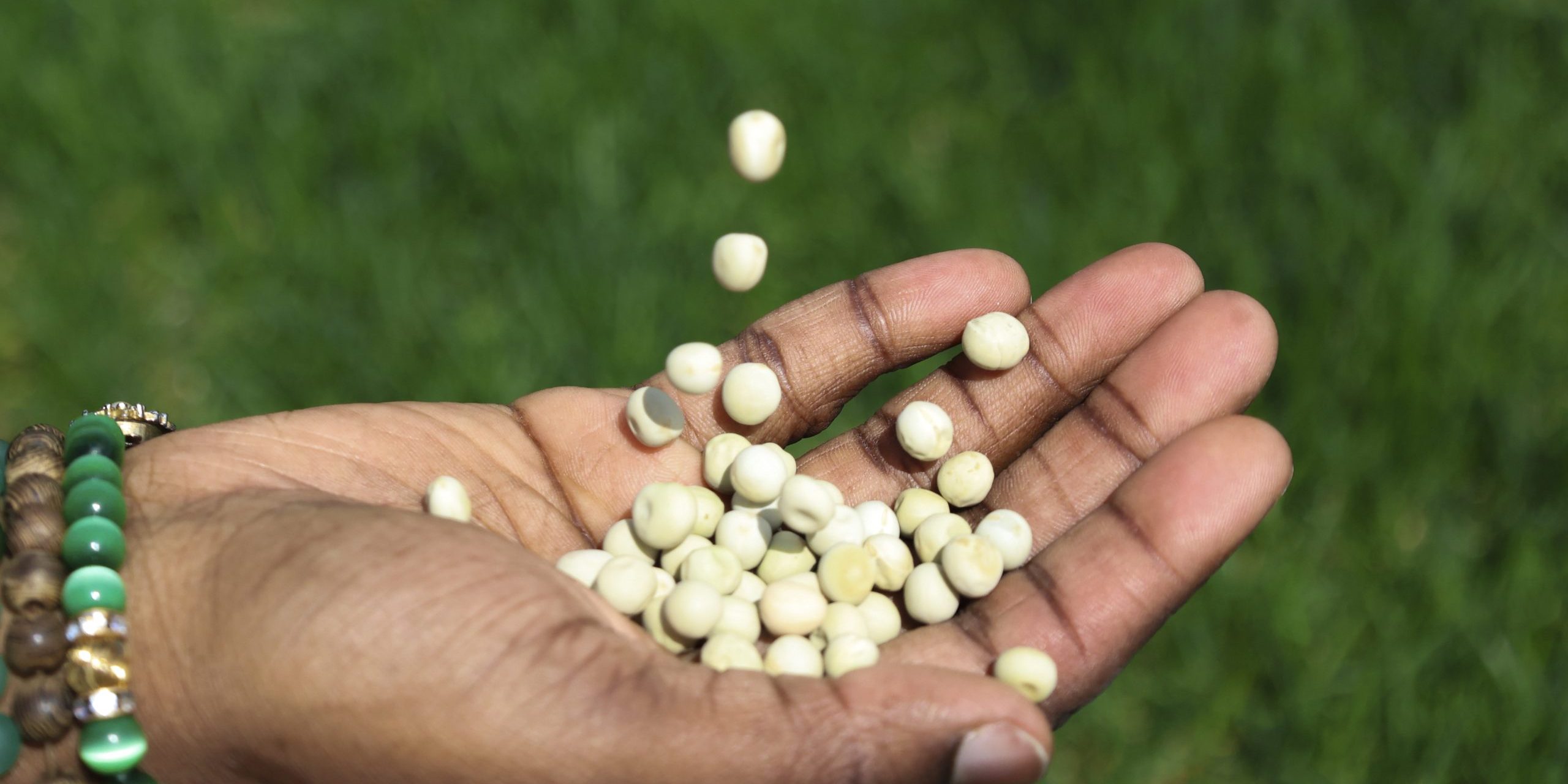 Barrett Centre Community Leader Horticulture Scholarship - Durham College