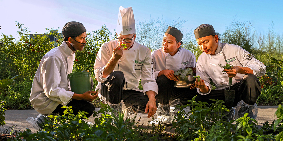 Culinary Management – OYAP Stream - Durham College