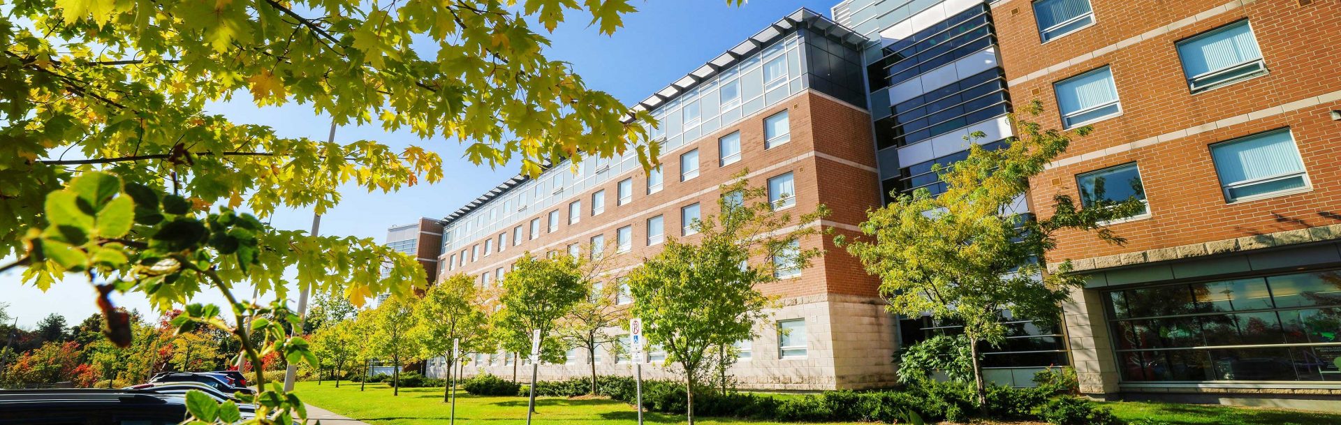 Student Support - Durham College